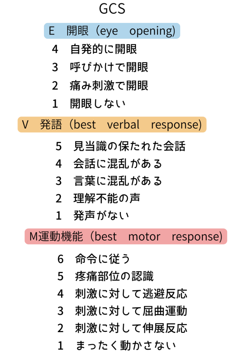【初心者向け】意識レベルJCS・GCSの違いと使い分け｜評価方法と練習問題つき | ナースジャーナル